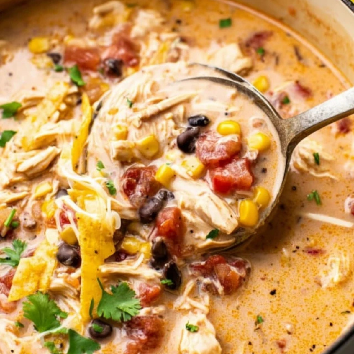 Easy Chicken Taco Soup Recipe - What To Cook