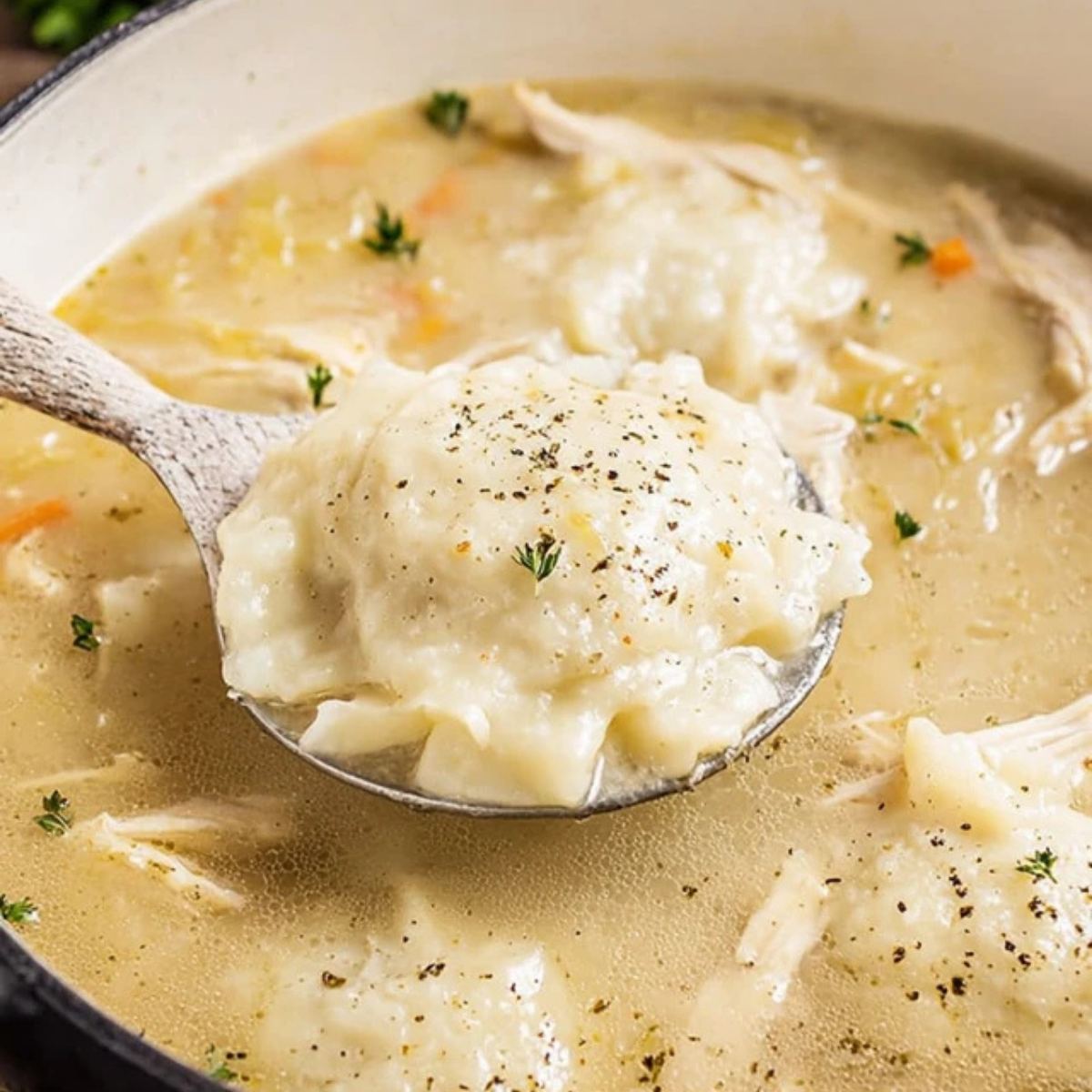 Southern Style Chicken and Dumplings Recipe - What To Cook